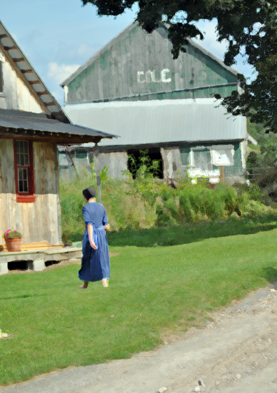 Amish Farms – Cole – Fabrics – Gouverneur, NY – Fading Ad Blog